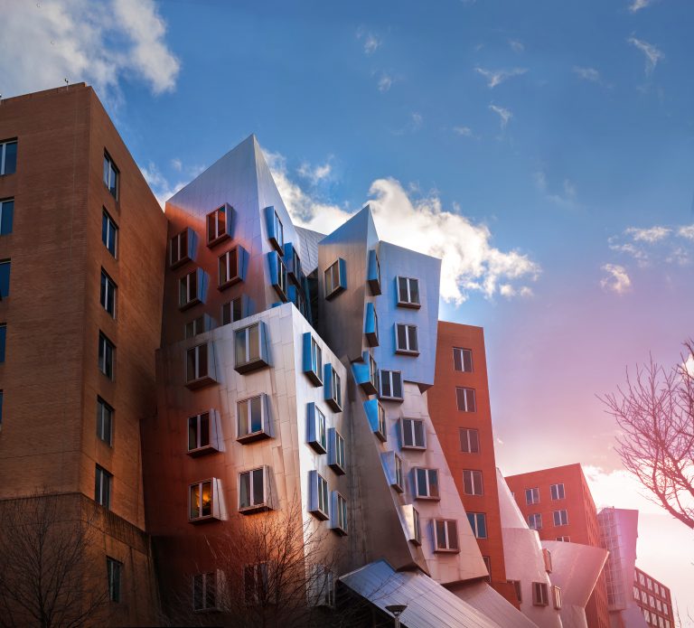 Frank Gehry Starchitect Of The Modern Era by Michel Cruz