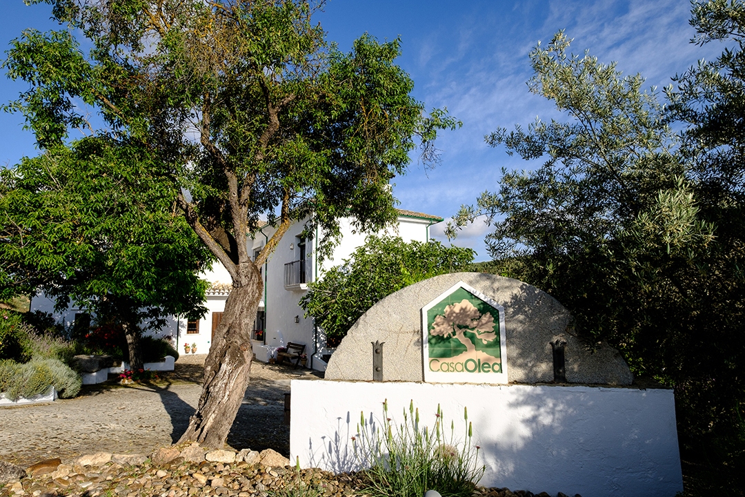 Andalusian Getaways And Retreats by Michel Cruz